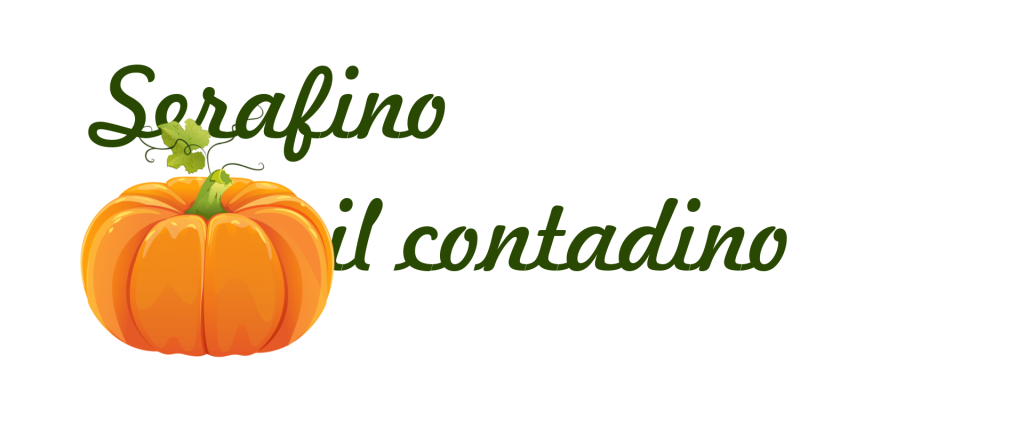 5 strane (improbabili) ragioni per costruire un mulino a pietra ... 5 strane (improbabili) ragioni per costruire un mulino a pietra ...
